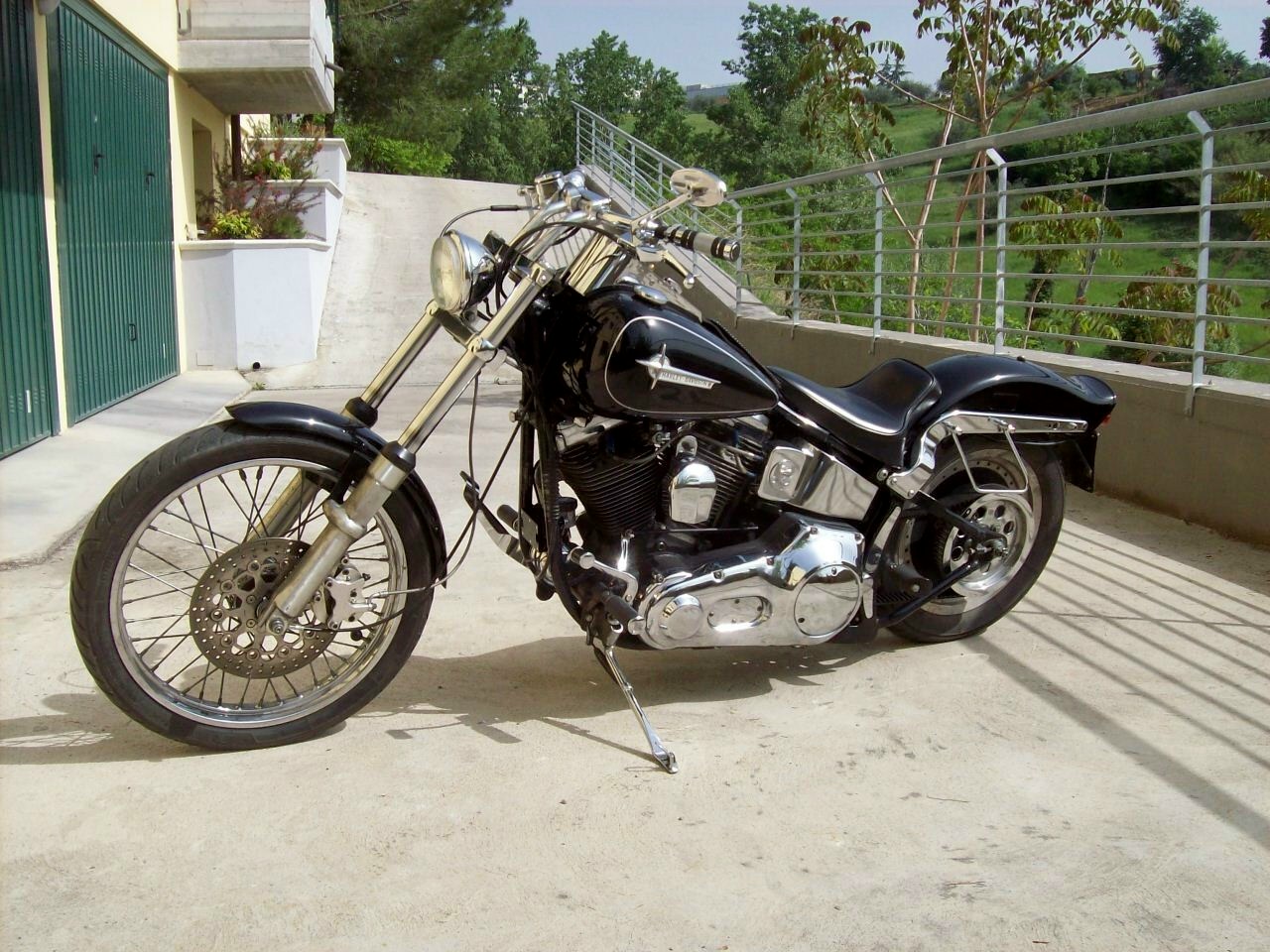 GalluzHead...... Be a Man ride a Pan : H-D Softail Custom FXSTC Evo for sale