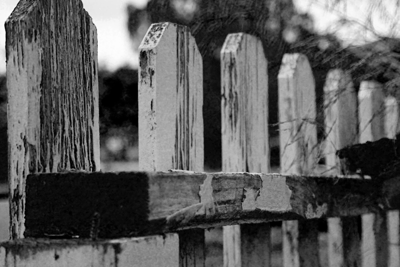 Digital Photography Period 2 MSJHS: Masters of Photography: Paul Strand