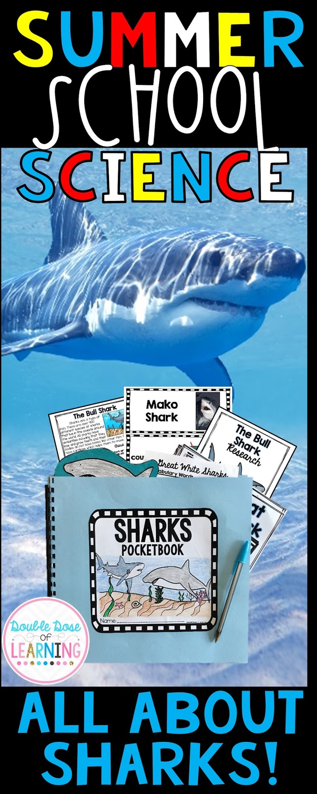 Summer School Science: All About SHARKS! - Double Dose of Learning