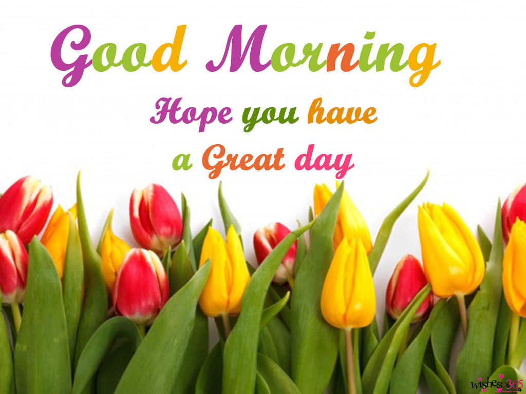 Poetry and Worldwide Wishes: Good morning image with tulips heart ...