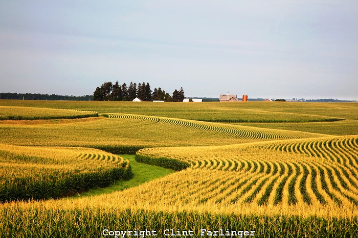 Redefining the Face Of Beauty : IOWA