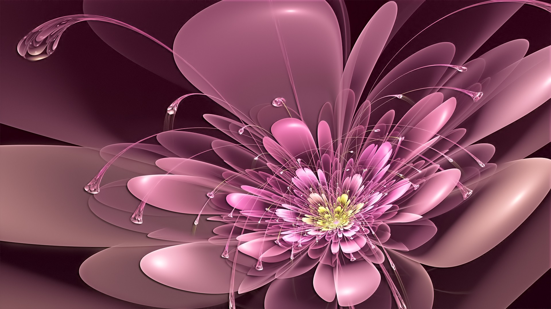 Wallpapers Fleurs - Pack 004 - Wallpapers & Partage