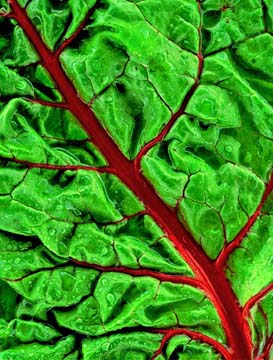 Coffee With Hallelujah: Spiritual Art Pilgrim Interview #8 ...