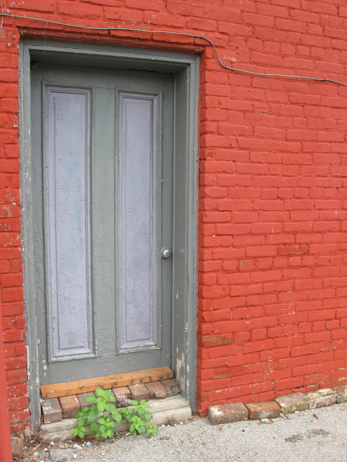 PICAYUNE PHOTOS: COLOR AND TEXTURE IN AN ALLEYWAY