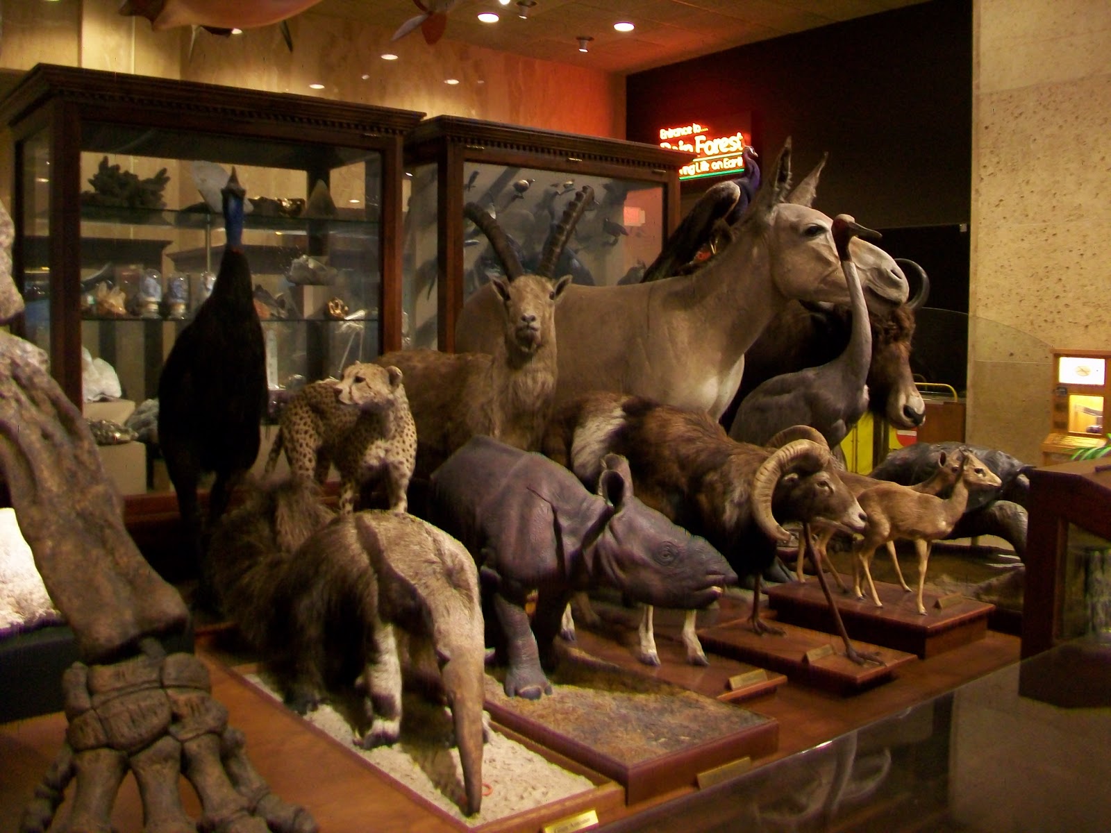 Notice Nature: Milwaukee Public Museum