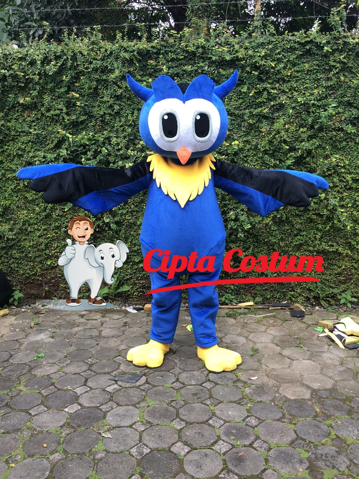(WA: 0813.2328.9889)|KOSTUM MASKOT BURUNG | SALAH SATU DESAIN MASKOT ...