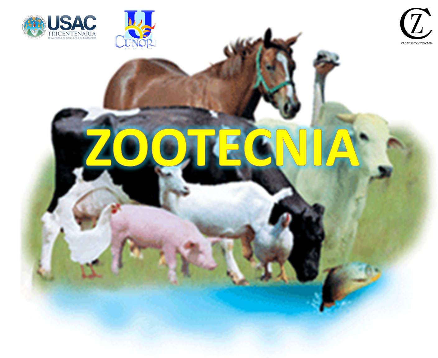 zootecnia