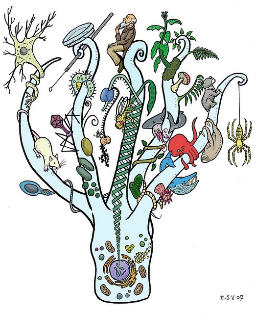 BIOLOGÍA I: BLOQUE II Identificas las características y los componentes ...