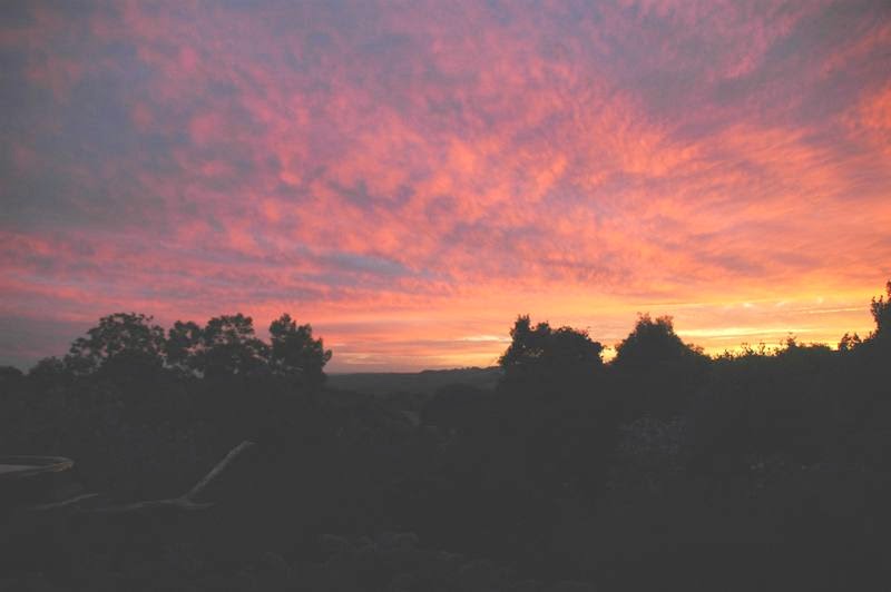 The Nature of Robertson: June 2014
