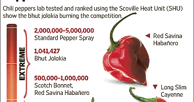 gastronommy.com: Official Scale for Chili Pepper Spiciness