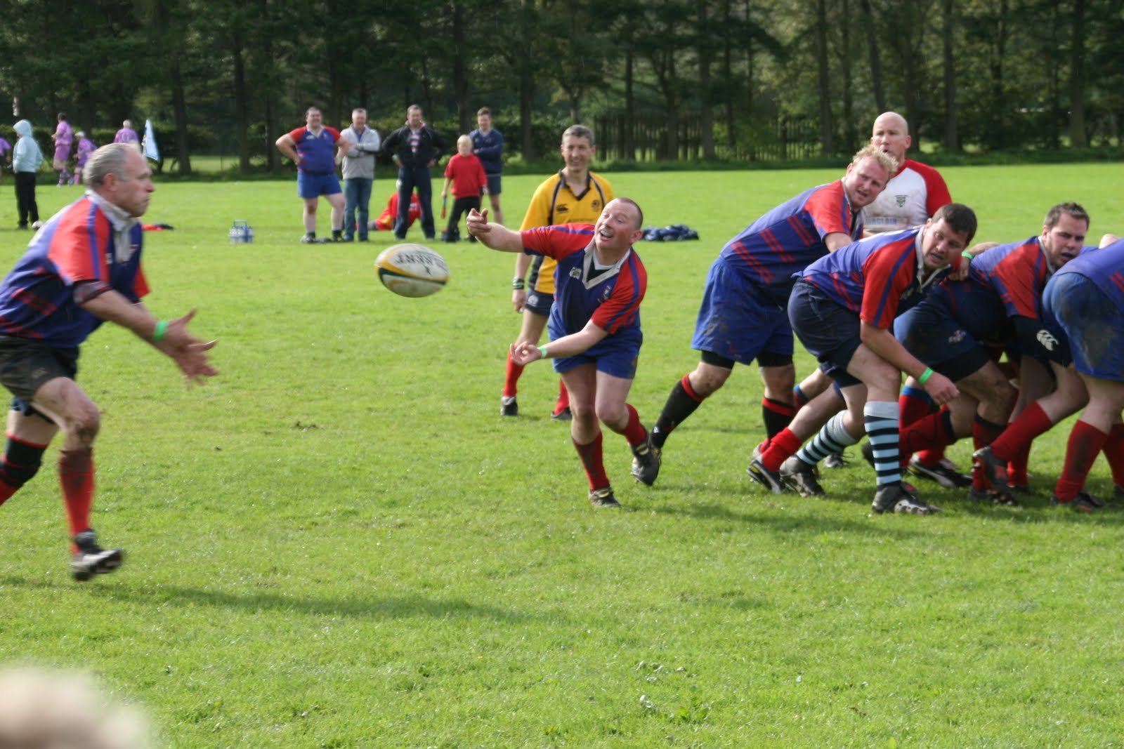 All in the life of me, budgie and friends: Golden Oldies Rugby ...
