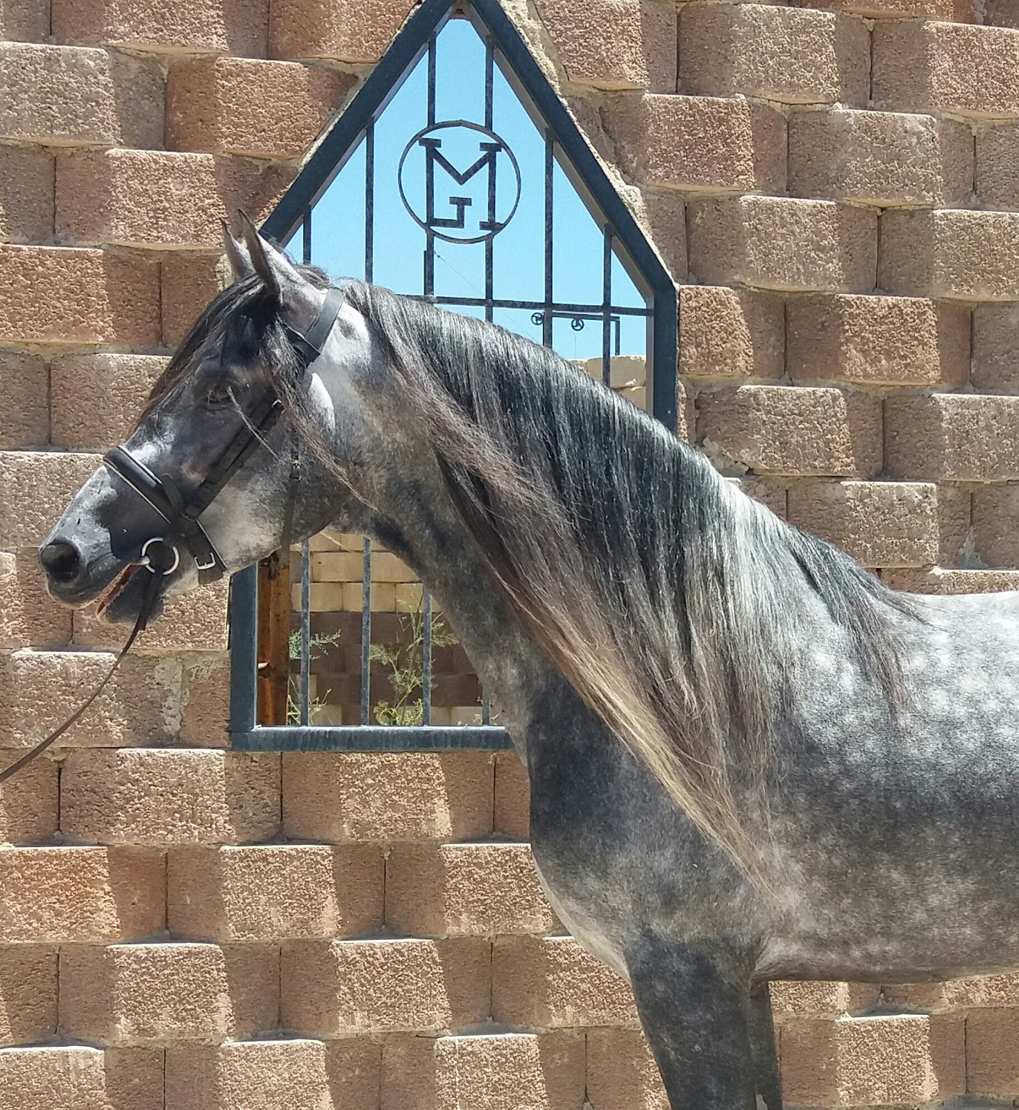 Hacienda Alta Escuela