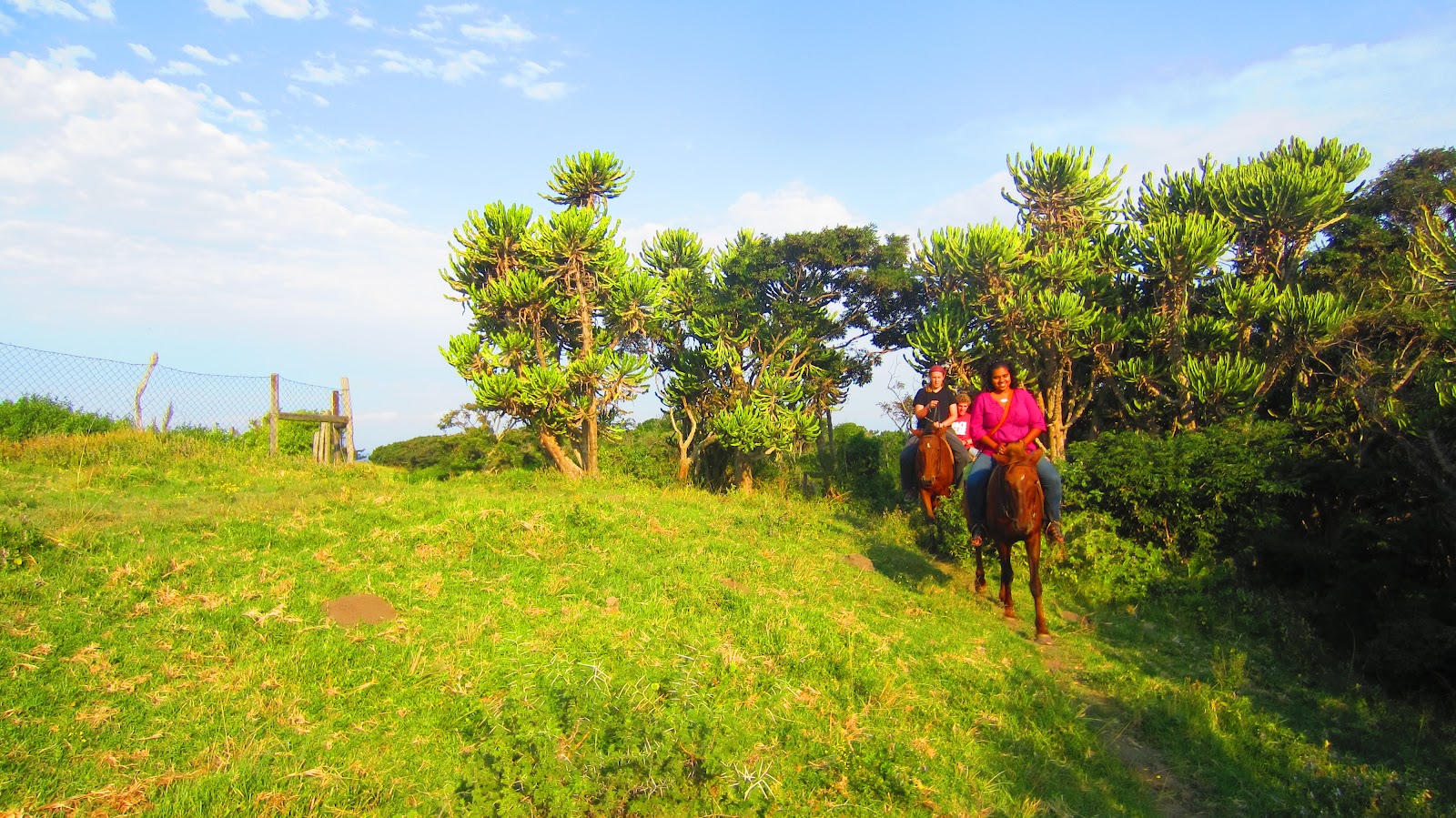 Temporary Nomad: The Magical Wilderness of Bulungula!