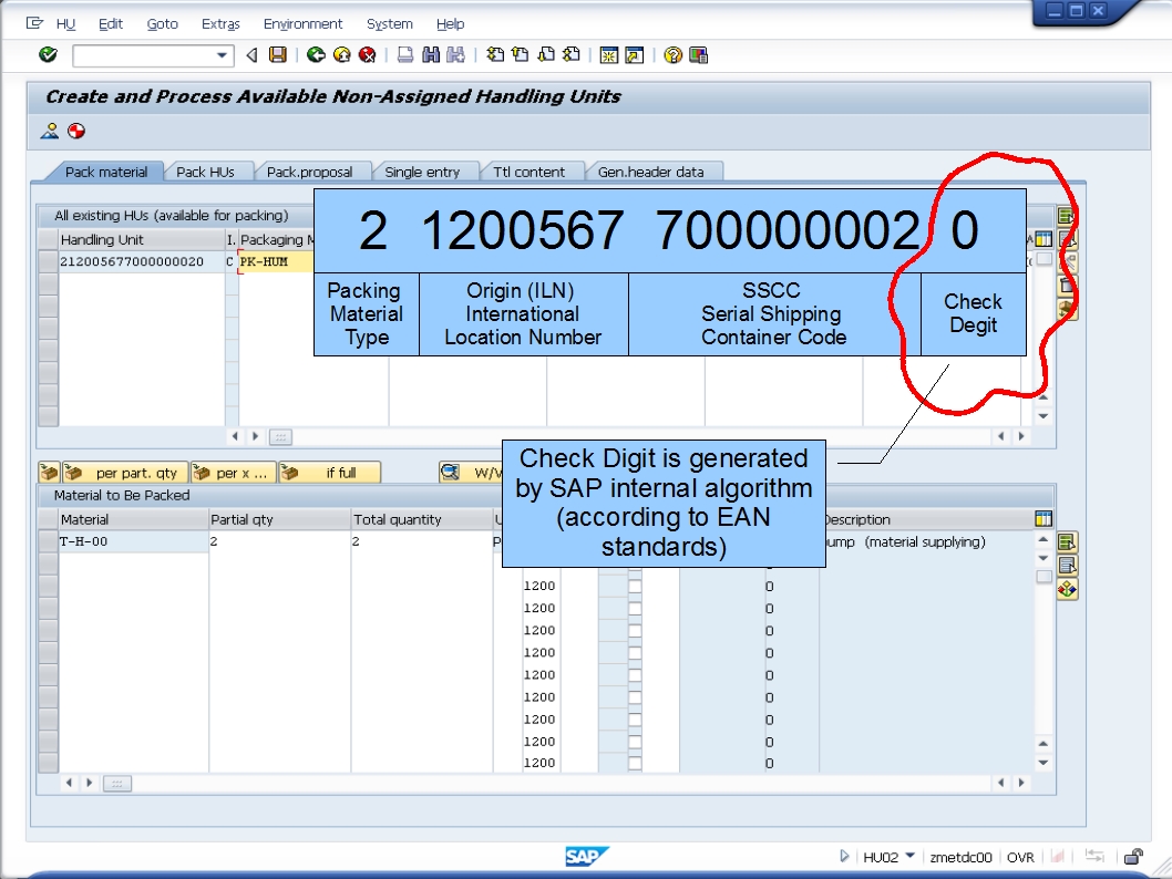 青蛙SAP分享 Learning & Examination: HUM - SSCC Generation
