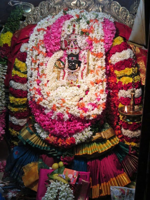 Aadi Pooram Brahmotsavam 2016: Arunachala - ARUNACHALA GRACE