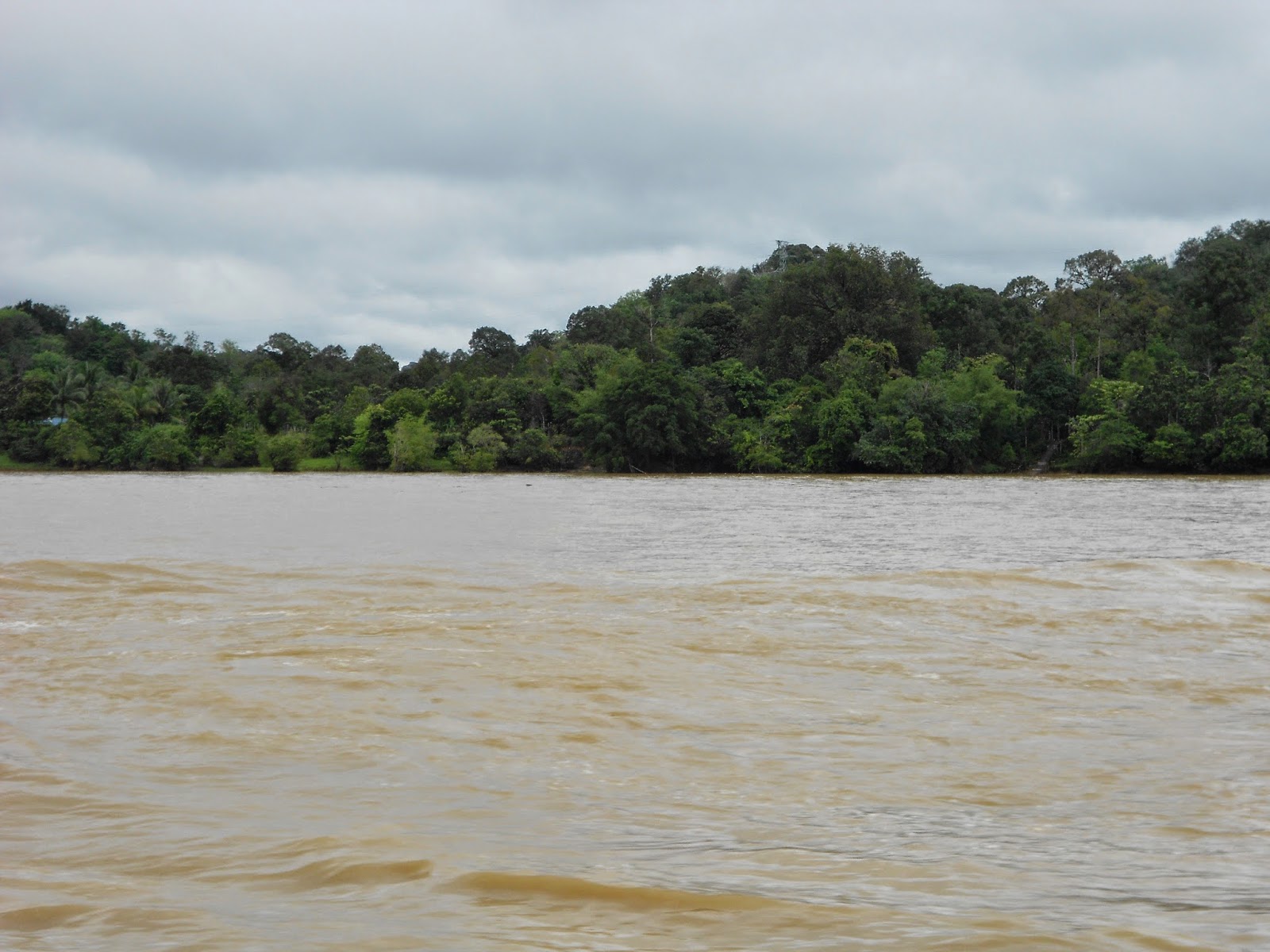 FREELITTLEBRAIN: The Legend of Rajang River