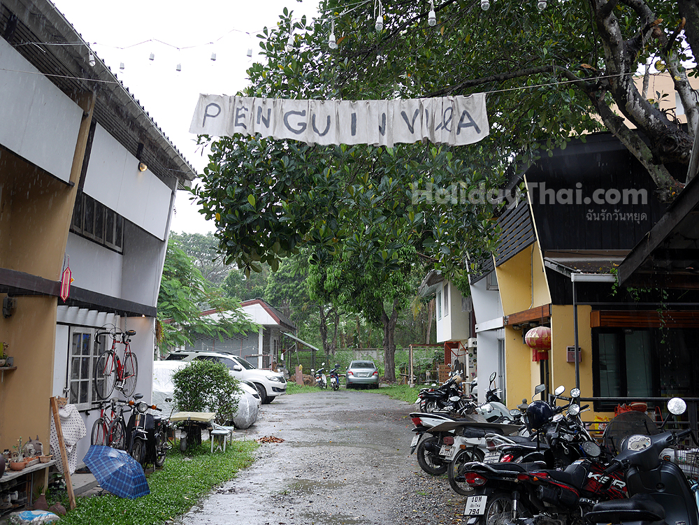 เที่ยวเชียงใหม่: รีวิวร้าน Penguin Ghetto & ร้าน Baking Mania @ Penguin ...
