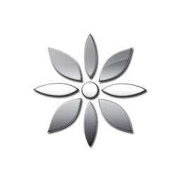 ForgetMeNot: silver flowers