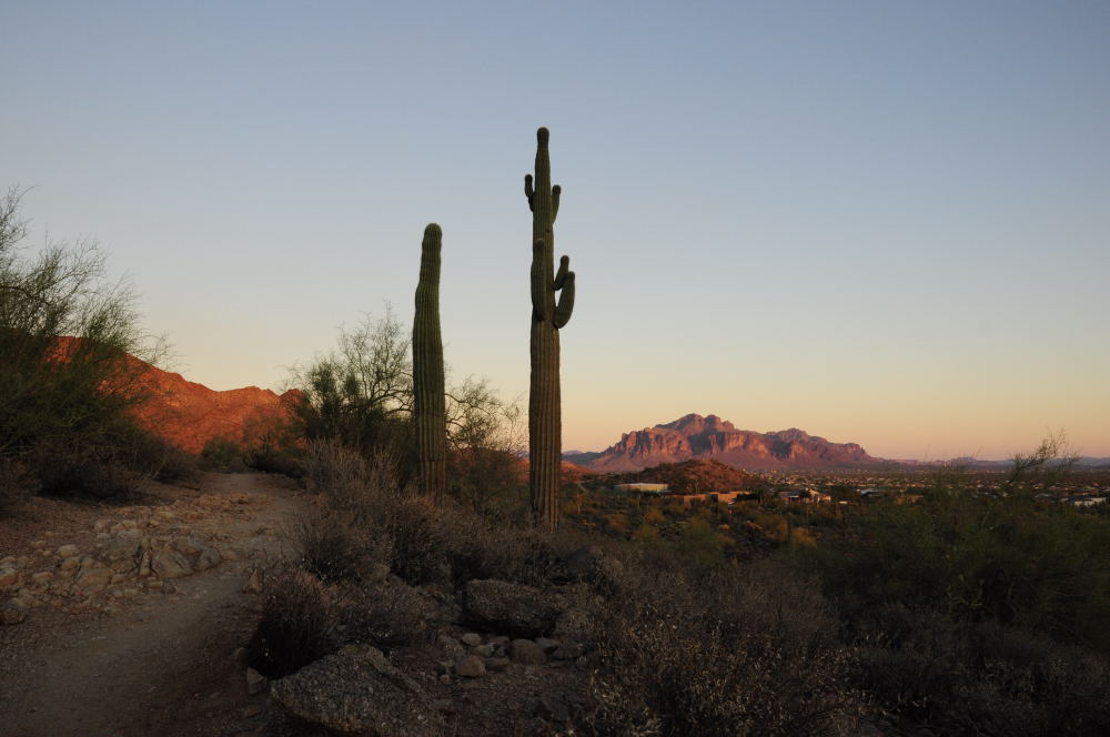 Exploring the Southwest: Cat Peak Loop - Usery Mountain Park.