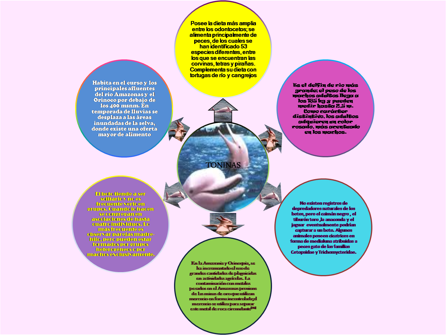 Esquemas mentales: ESQUEMA CIRCULAR