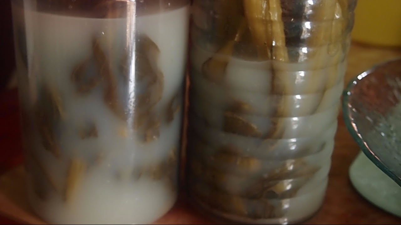 Tagalog Kitchen: How To make "BURONG MUSTASA"