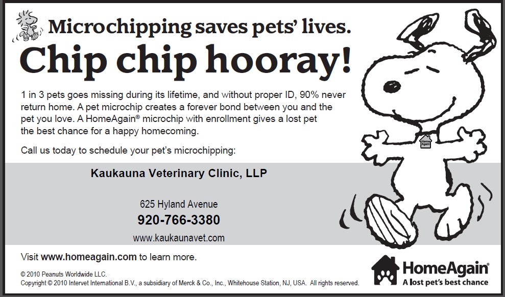 Kaukauna Veterinary Clinic News and Articles: Microchipping Saves Pets ...
