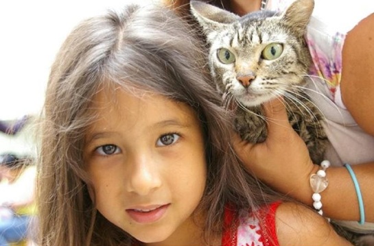 White Wolf : Venezuelan Rescue Team Helps Thousands of Dogs and Cats ...