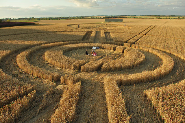 Cosmic Crop Circles: Cooks Plantation, nr Beckhampton, Wiltshire ...