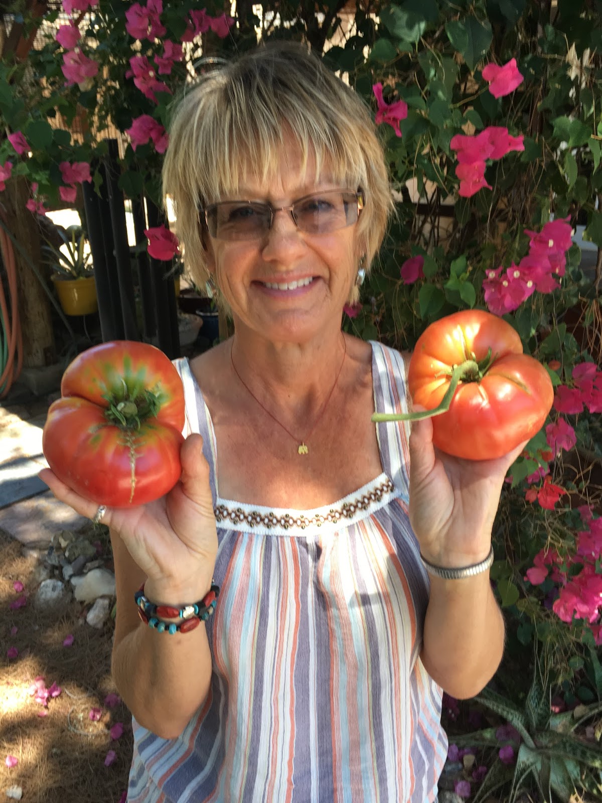 Gardening Class on Tomatoes