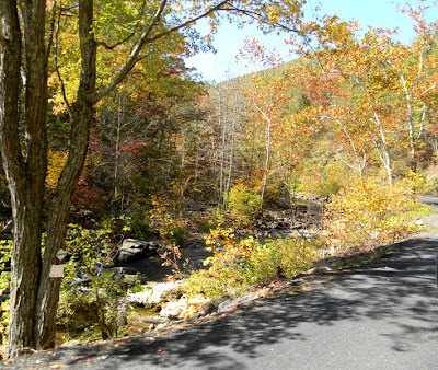 SWAC Girl: Fort Valley in Shenandoah County, Va.