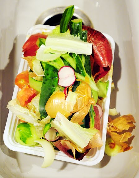 Vasiliy Images - Blog