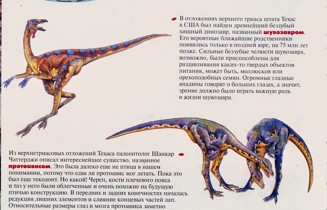 Love in the Time of Chasmosaurs: Atlas of Dinosaurs, The Return