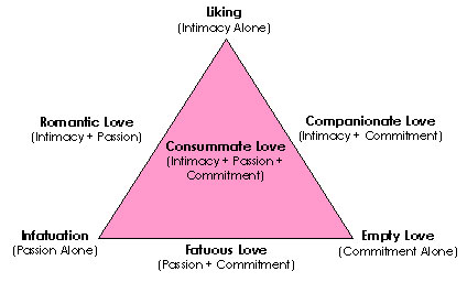 Human Sexuality: Sternberg's Triangular Model of Love