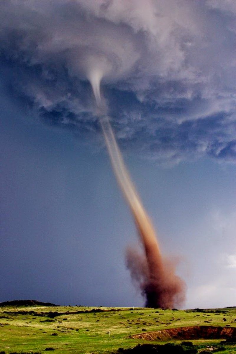 Feel Free to Read: They Call the Wind Tornado