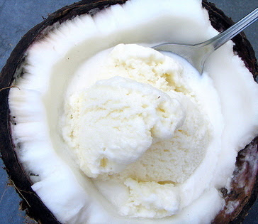 Gelato al cocco fatto in casa - Cucina Green