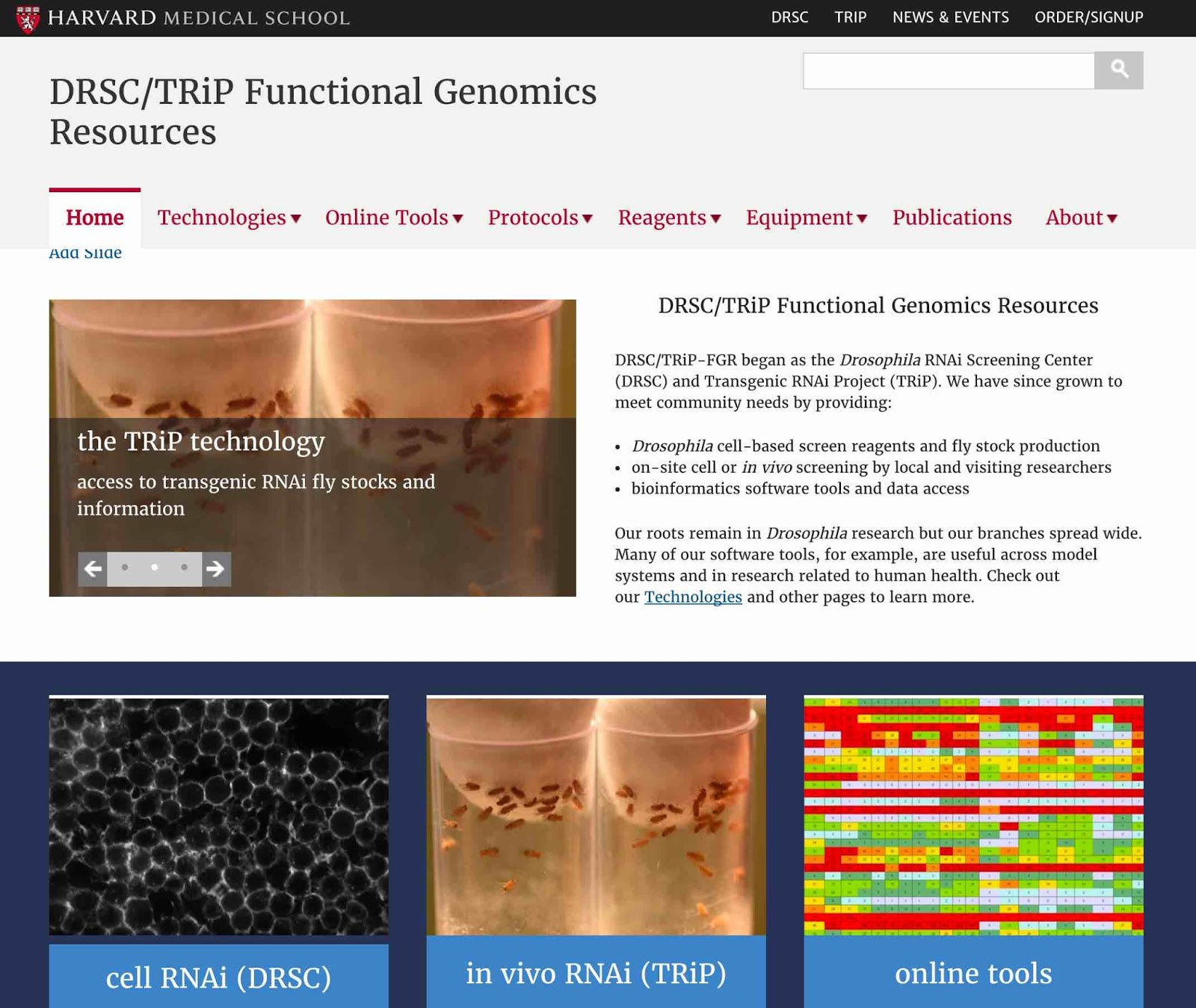 FlyRNAi: DRSC & TRiP website -- All new!