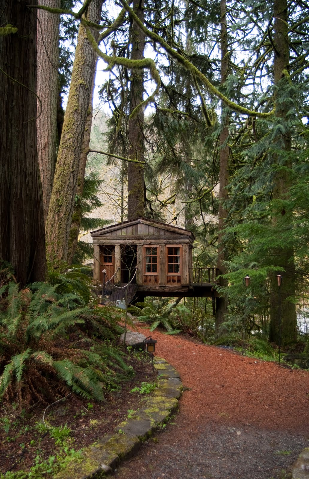 This is something I saw once.: Treehouse Point Weekend, Fall City