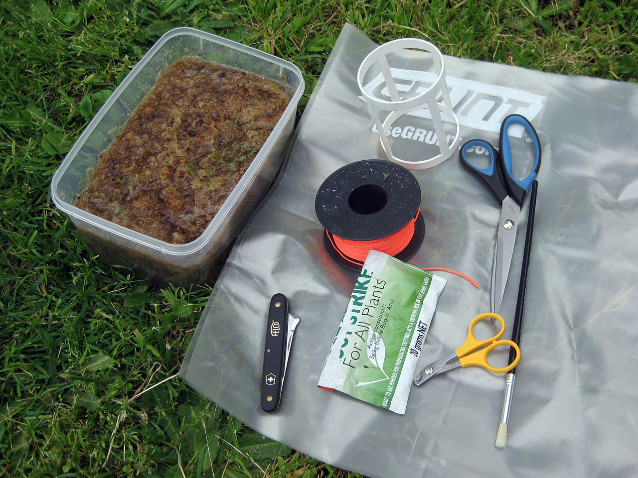 The Night Gardener: Air Layering: First Attempt