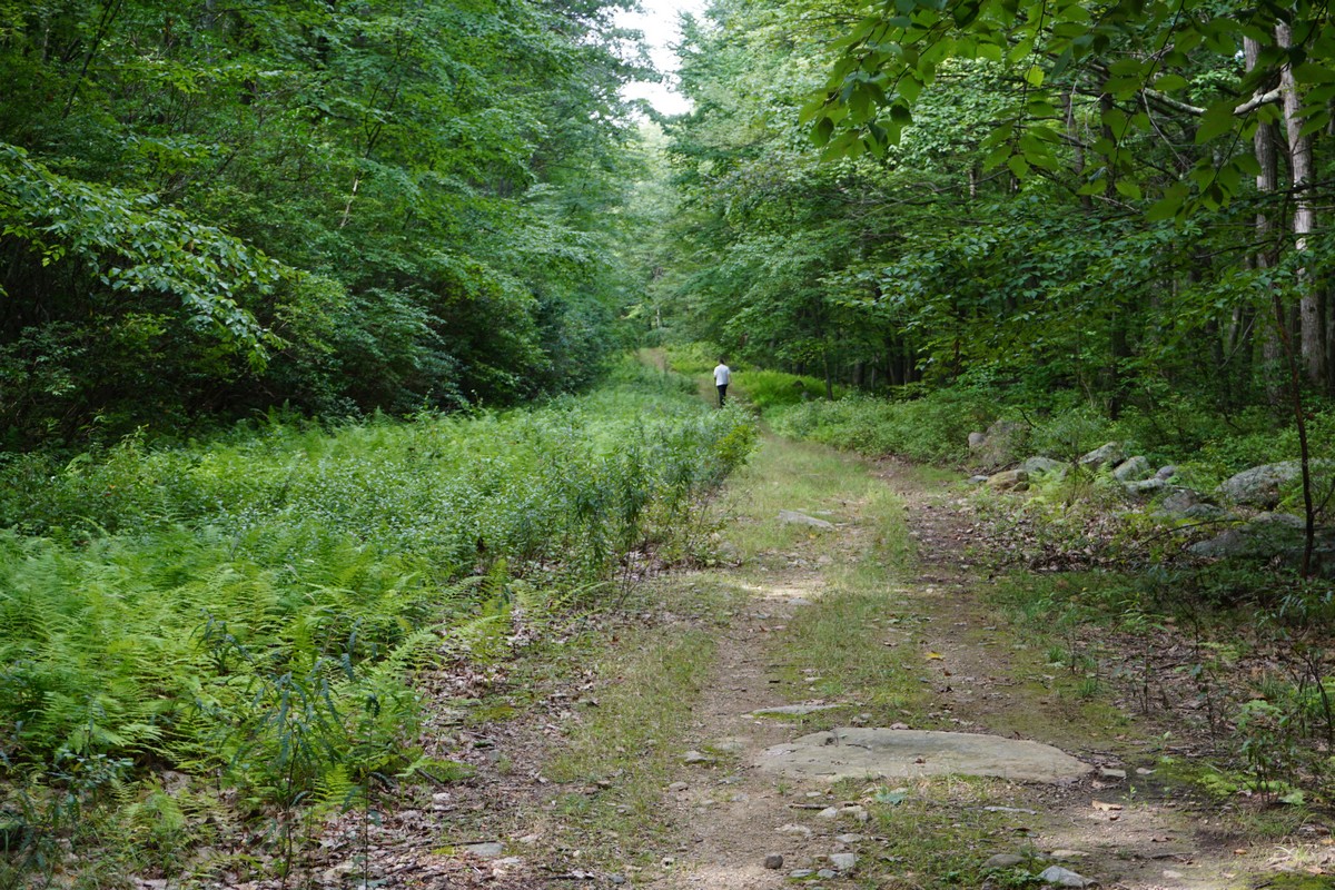 Harriman Hiker: Harriman State Park and Beyond: Breakneck Pond AMC Loop