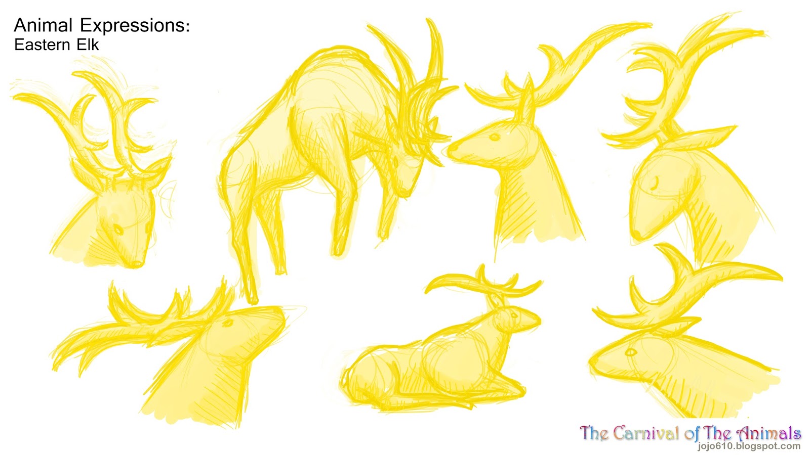 Joey Ku: Major Project: Animal Expressions