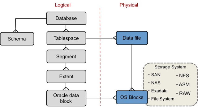 Database Info.: Oracle Logical Database Structures