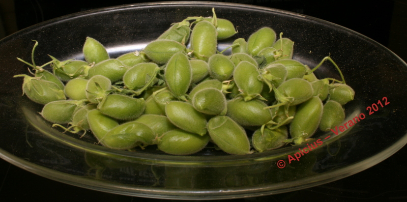 Garbanzos verdes inmaduros. | La Cocina Paso a Paso