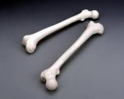 Awesome facts about human body