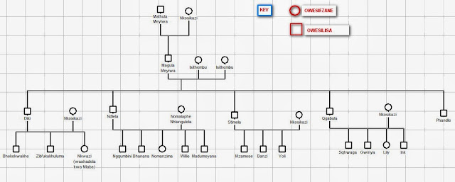 Isizukulwane Sika Mathula Meyiwa