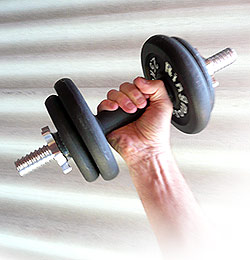 5 Dumbbell Exercises to Lose Belly Fat - Best4Fit