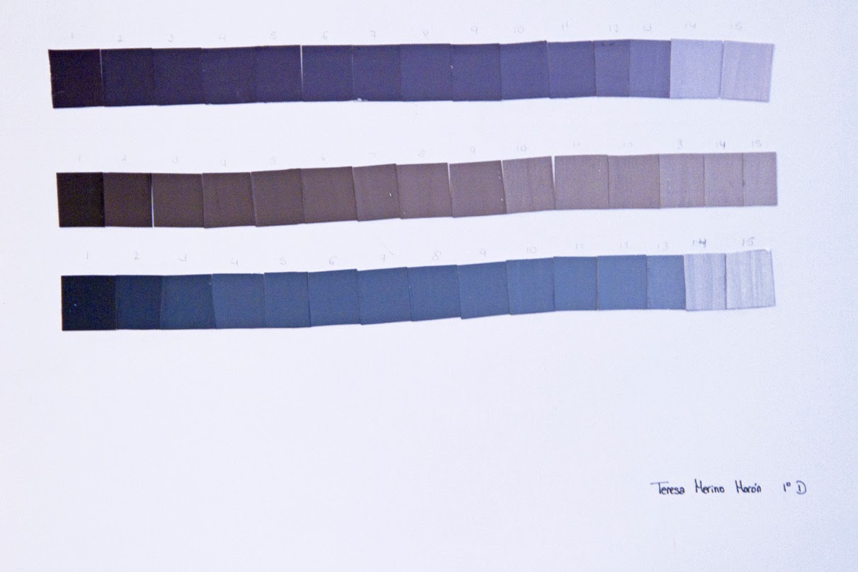 Principios básicos de la Pintura - Teresa Merino: Escalas de grises ...