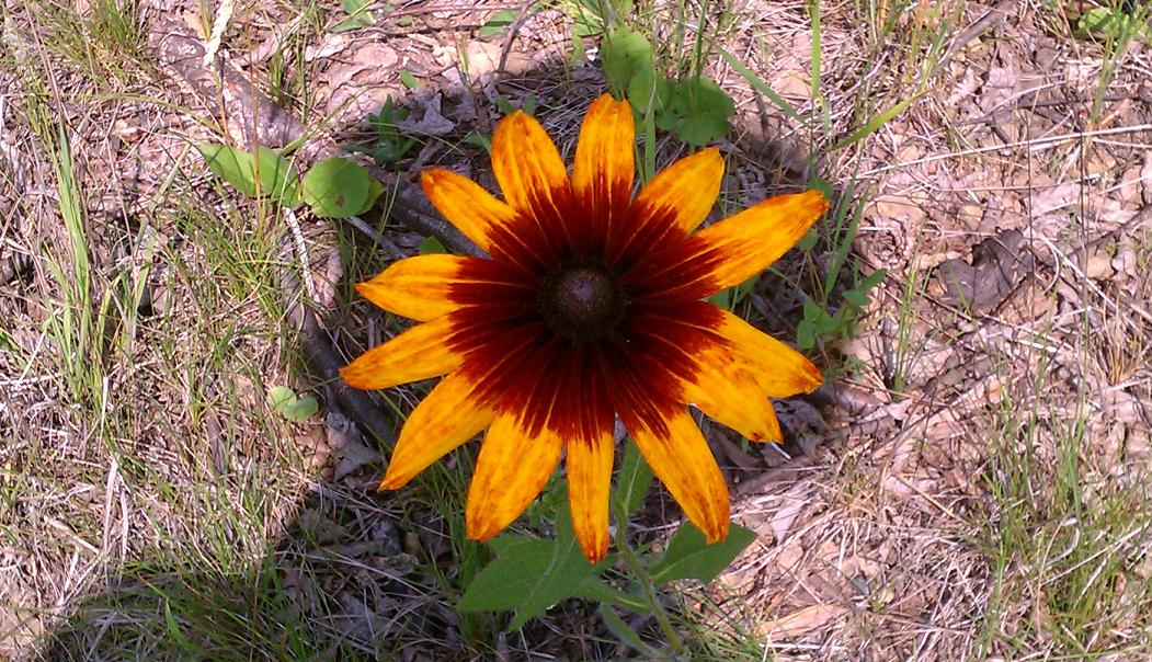 Tales of the Witch of November: Split Rock Lighthouse State Park AND ...