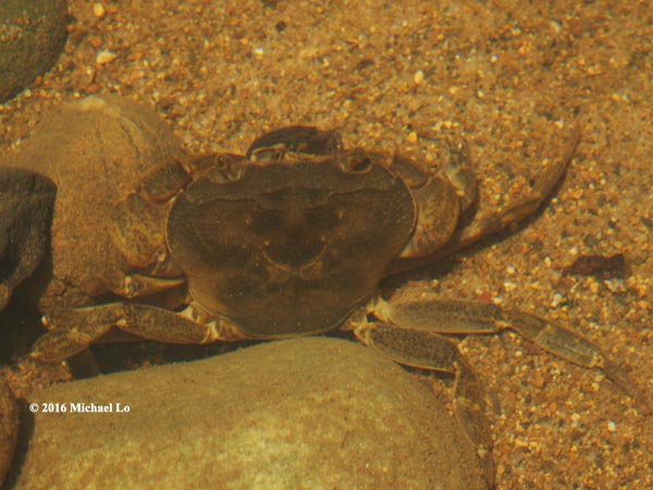 The rainforests of Borneo & Southeast Asia: Escape the tropical heat in ...