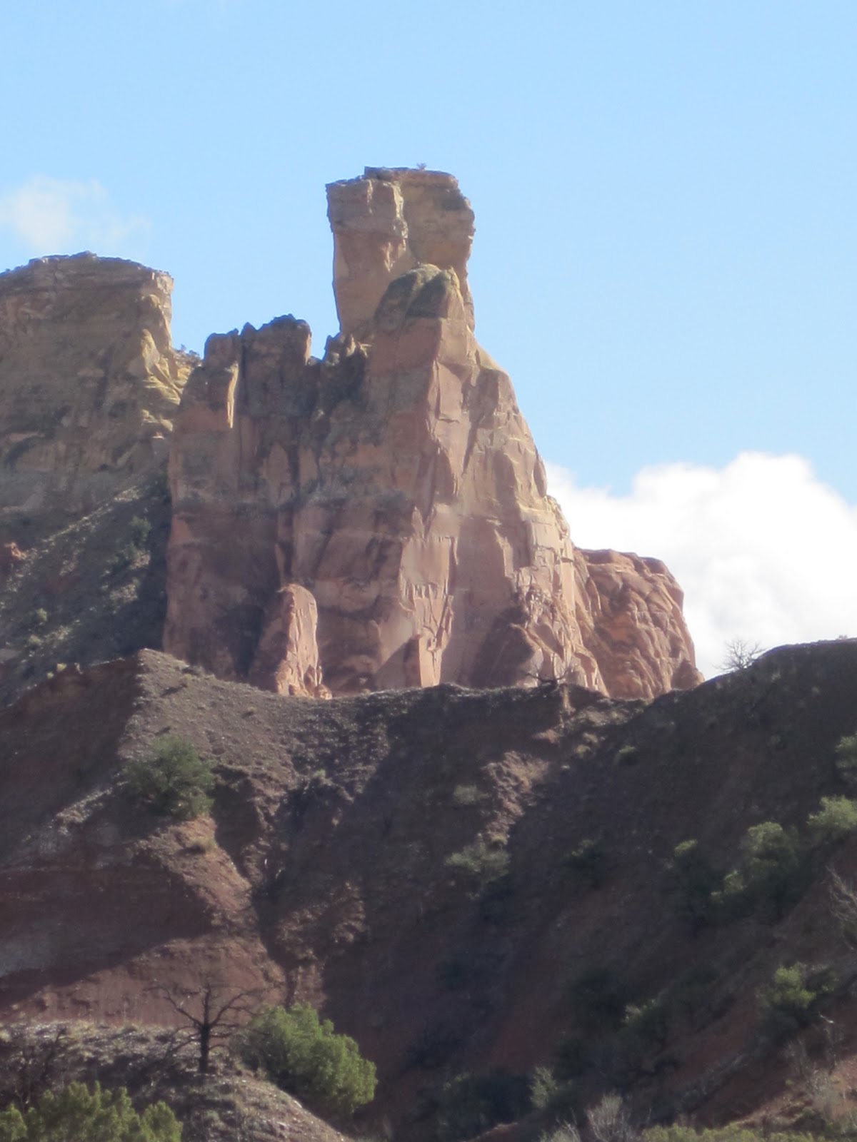Seasons: A Place with a View~~Ghost Ranch, N.M.