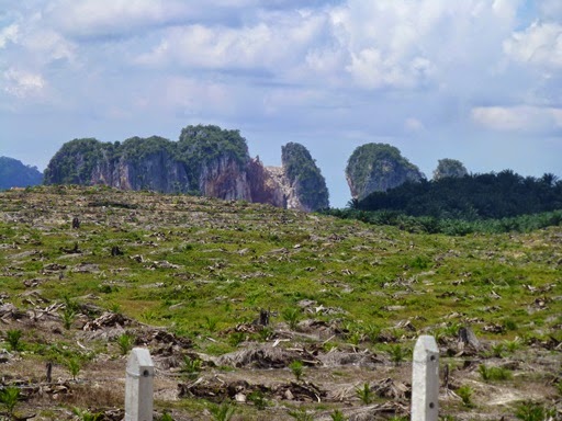 Caving in SE Asia: Quarrying of Bukit Sagu & Bukit Tenggek, Pahang